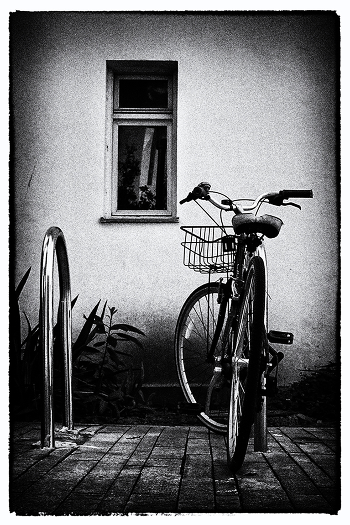 Ion Popa / Портфолио фотографа