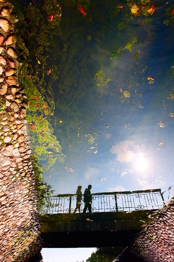 Nicotin / Портфолио фотографа