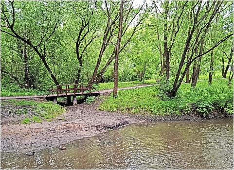 Kiv 77 / Портфолио фотографа