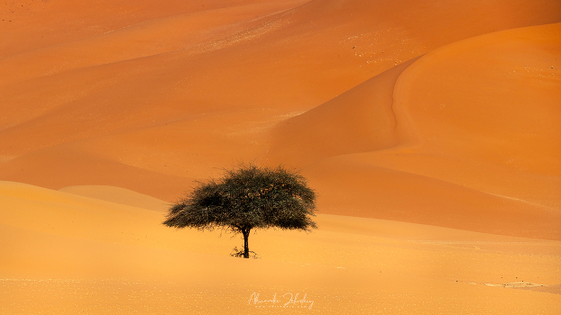 Alex Mimo / Портфолио фотографа