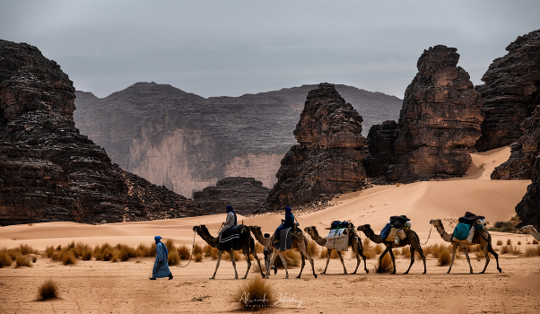 Alex Mimo / Портфолио фотографа