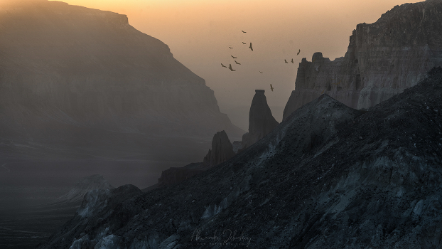 Alex Mimo / Портфолио фотографа