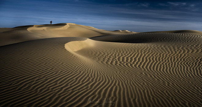 Alex Mimo / Портфолио фотографа