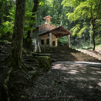 Alex Mimo / Портфолио фотографа