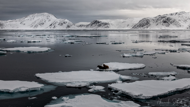 Alex Mimo / Портфолио фотографа