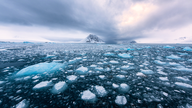 Alex Mimo / Портфолио фотографа