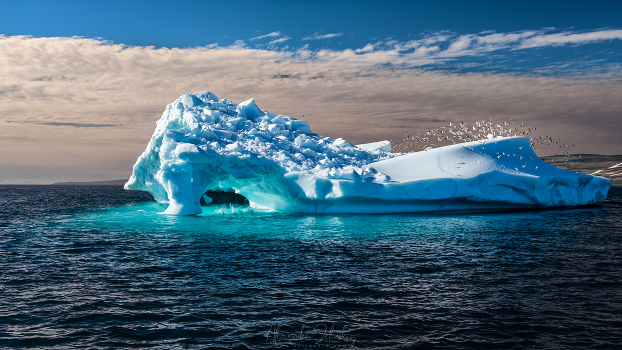 Alex Mimo / Портфолио фотографа