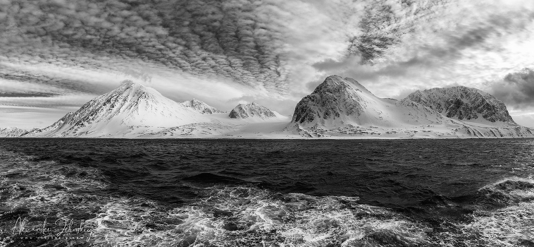 Alex Mimo / Портфолио фотографа