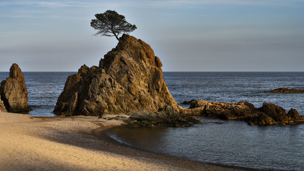 Alex Mimo / Портфолио фотографа