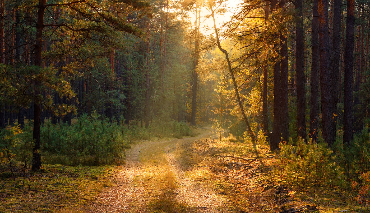 Луч света в темном царстве